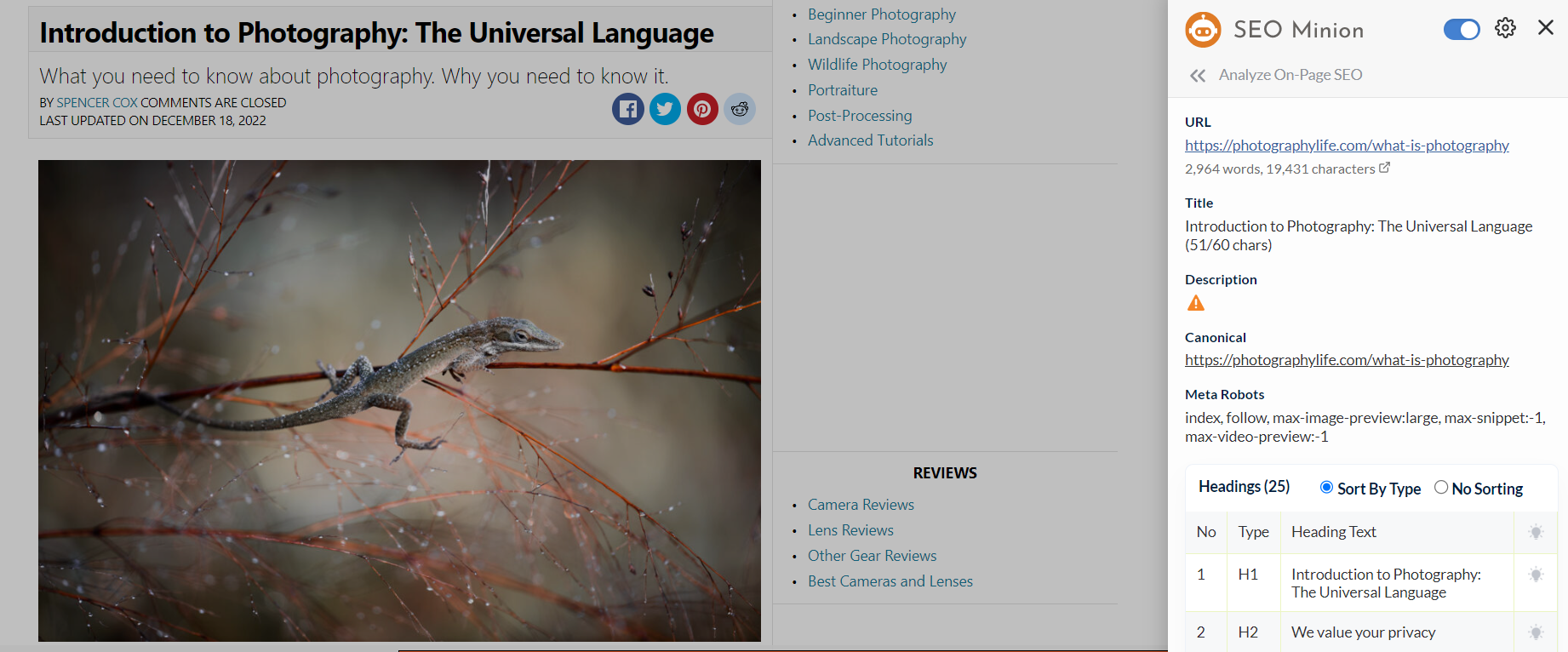 Best Google Chrome Extensions for SEOs in 2023 - Ignitefirst